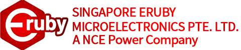 SINGAPORE ERUBY MICROELECTRONICS PTE. LTD.